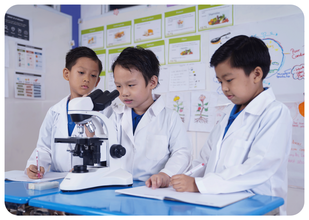Primary – My Myanmar International School